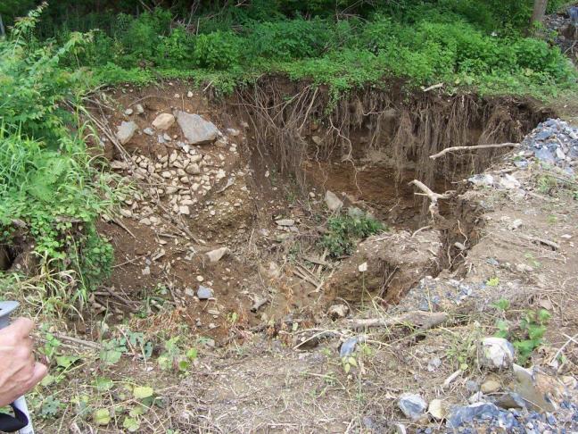 Challenges in the Bushkill Creek Watershed – Bushkill Stream Conservancy